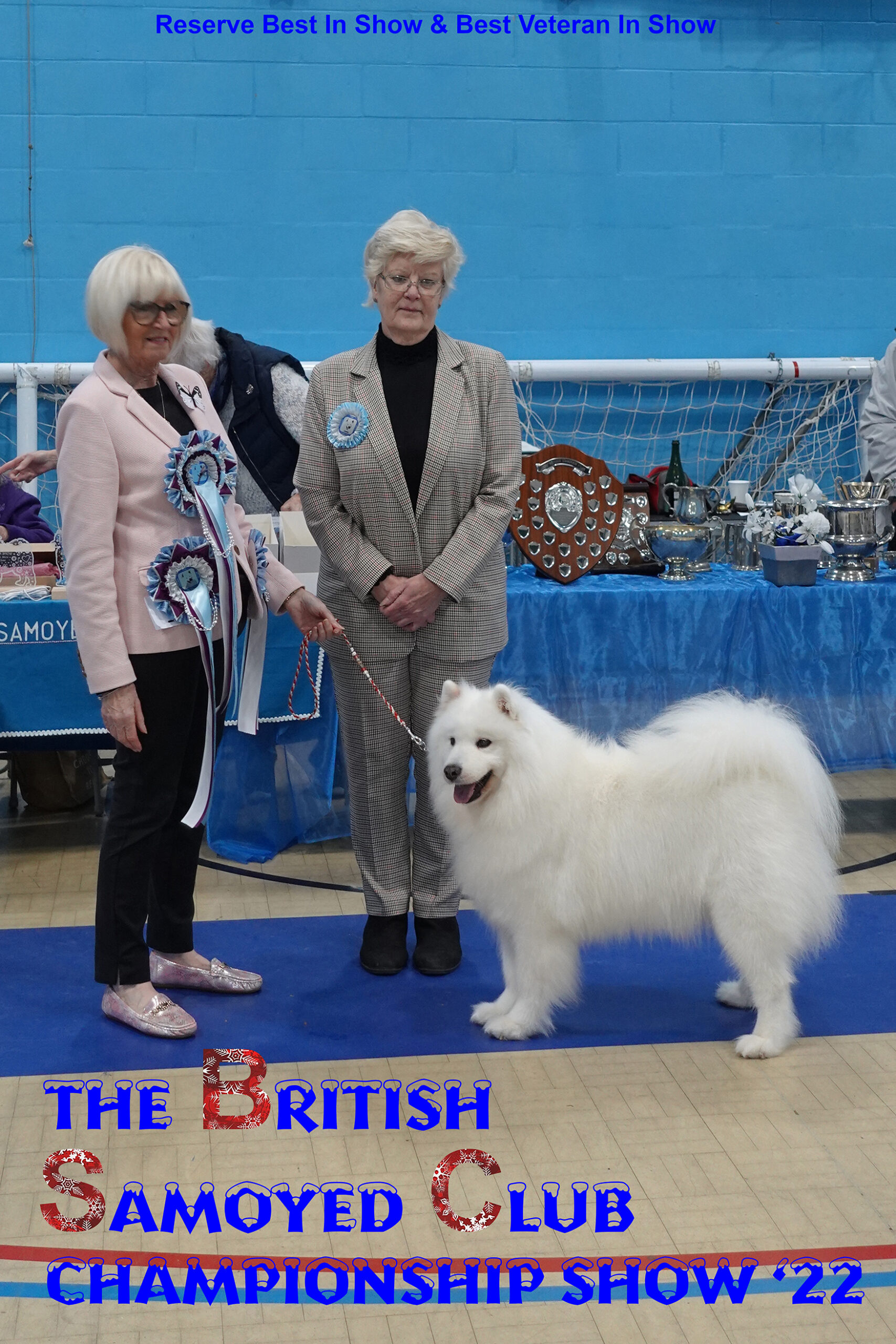 2022 Championship Show | The British Samoyed Club